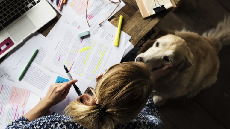 4 Benefits Of Having Pets In The Workplace | Informi